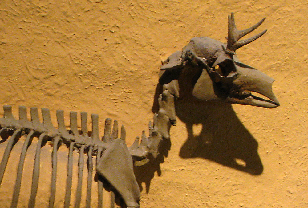 Washington D.C. revisited – BareBente